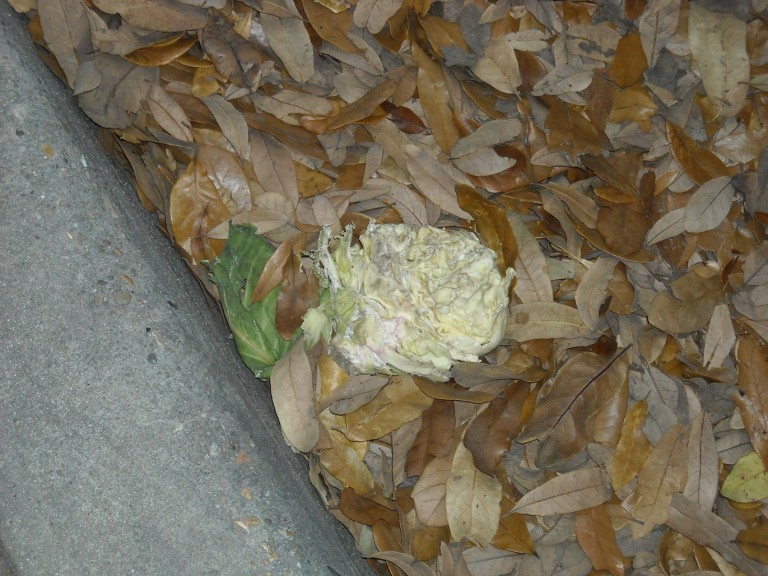 Who Throws A Cabbage Honestly RiversideNOLA